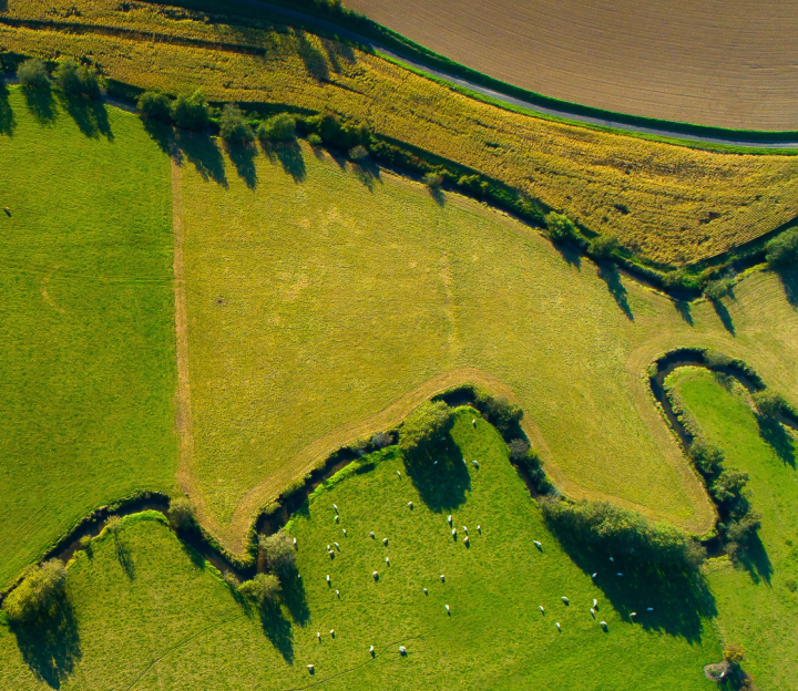 IMAP Methanol+™ | Process licensing | Products | Topsoe